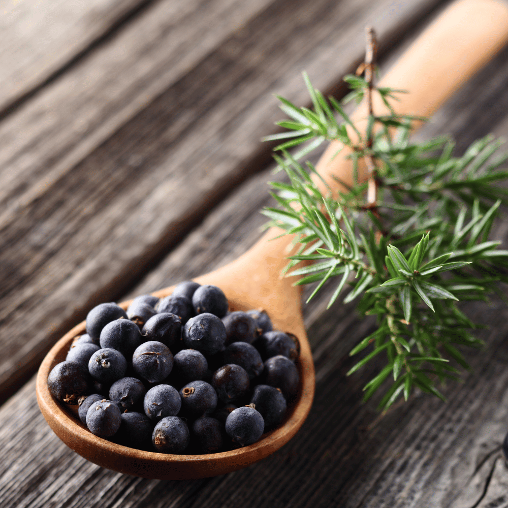 Klassischer Gin – 13spirits